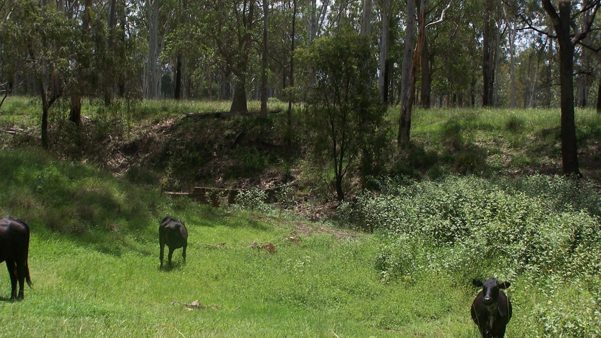 Mulgildie | Destination-information | Queensland