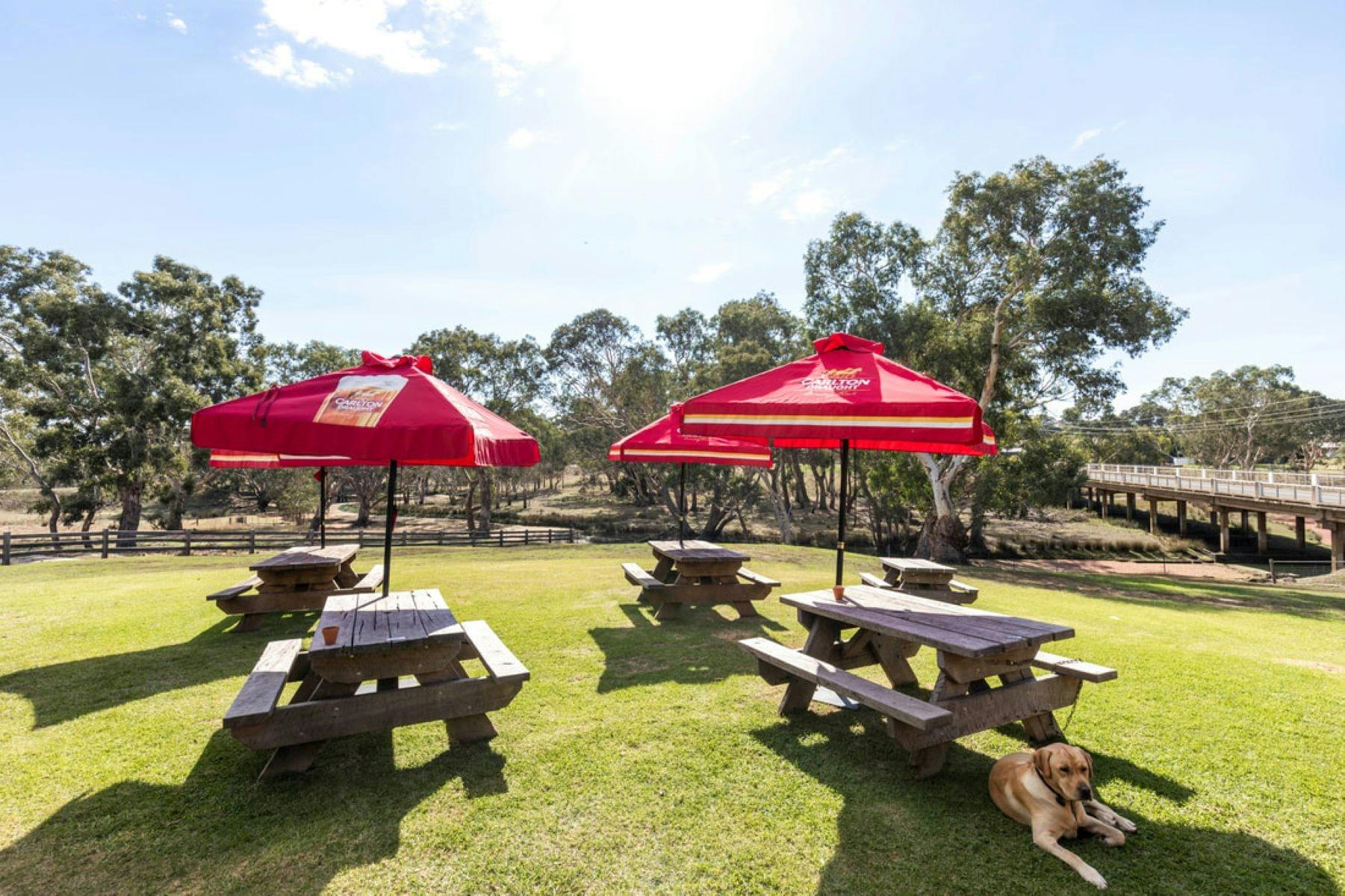 Bunyip Hotel Cavendish in Cavendish - The Fold: Your Guide to ...