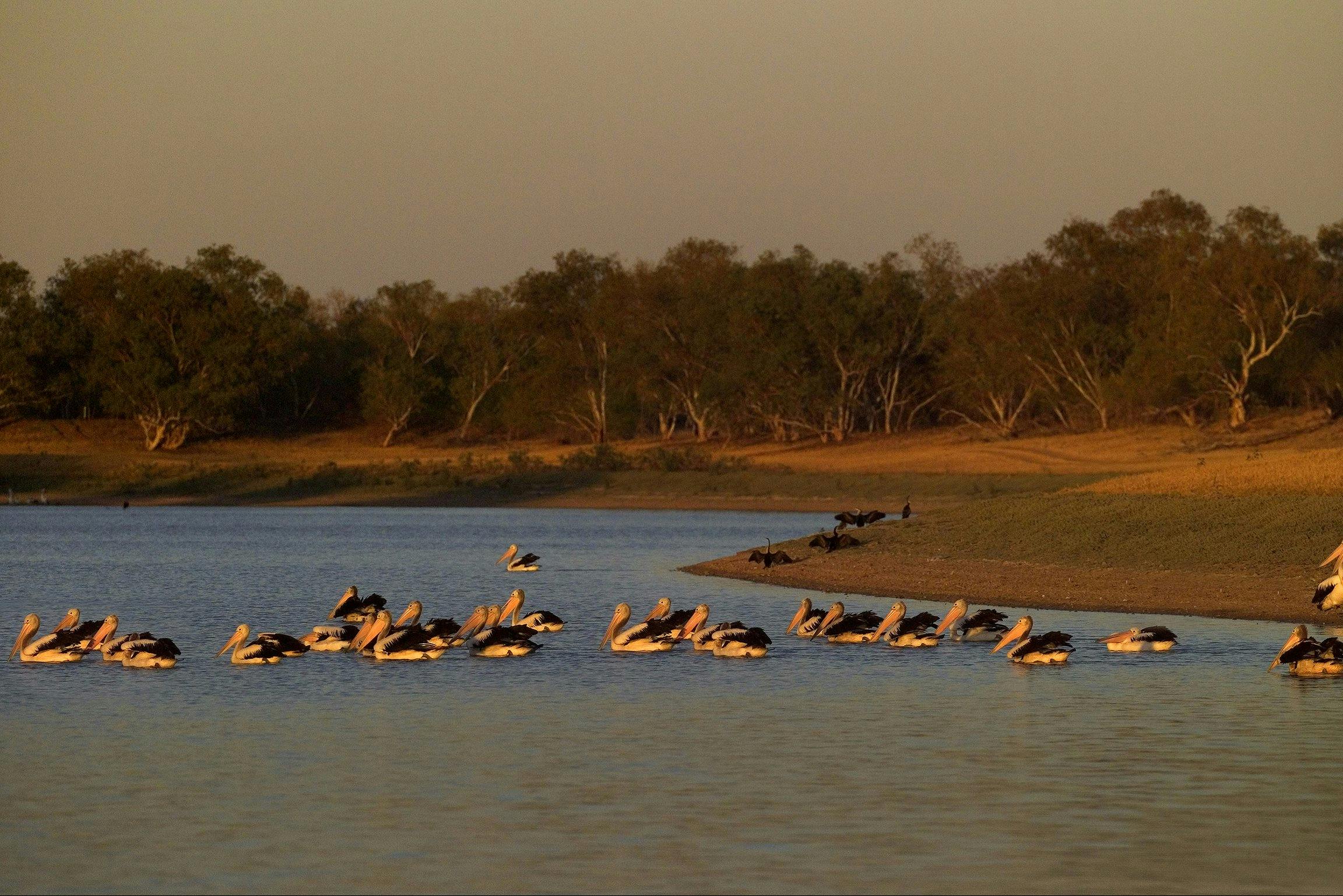 Barkly Tableland | Northern Territory, Australia