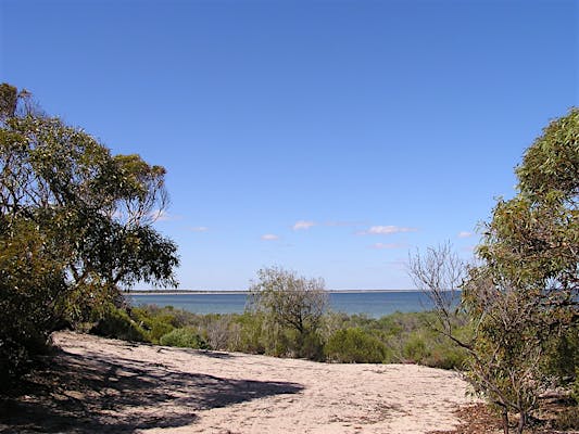 Acraman Creek Conservation Park - Smoky Bay, Attraction | South A...