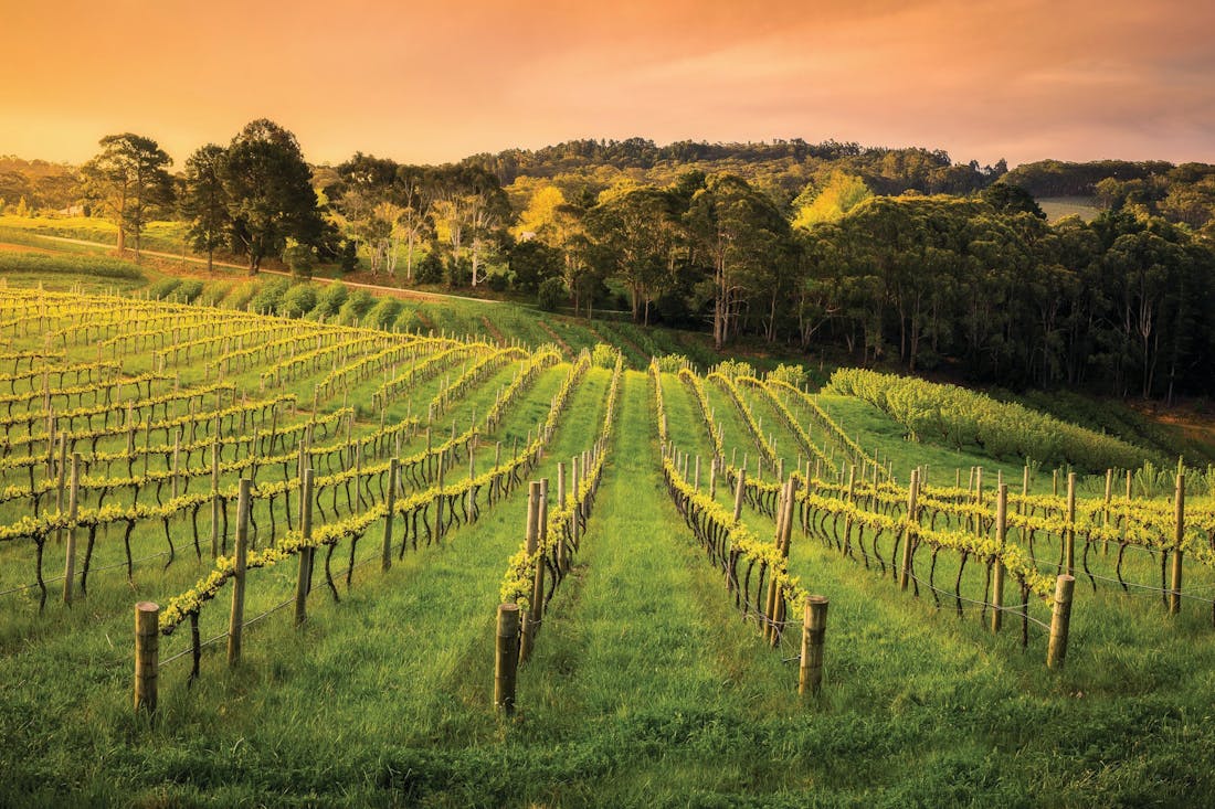 Uraidla - Uraidla, Destination Information | South Australia