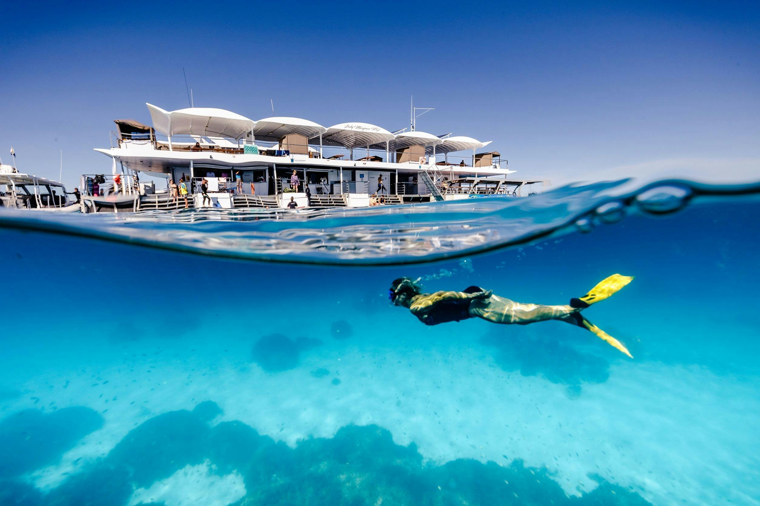 Lady Musgrave Experience | Tours | Queensland