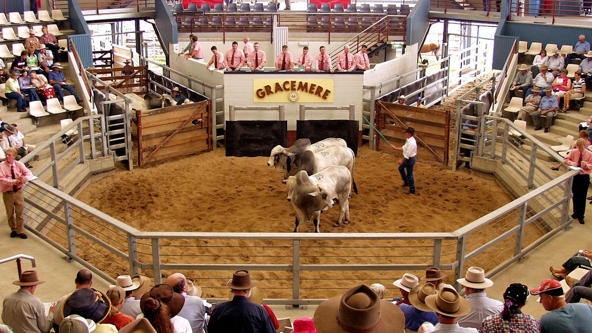 Gracemere | Destination-information | Queensland