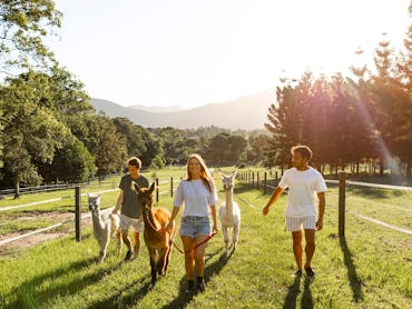 Dohles Rocks | Attractions | Queensland