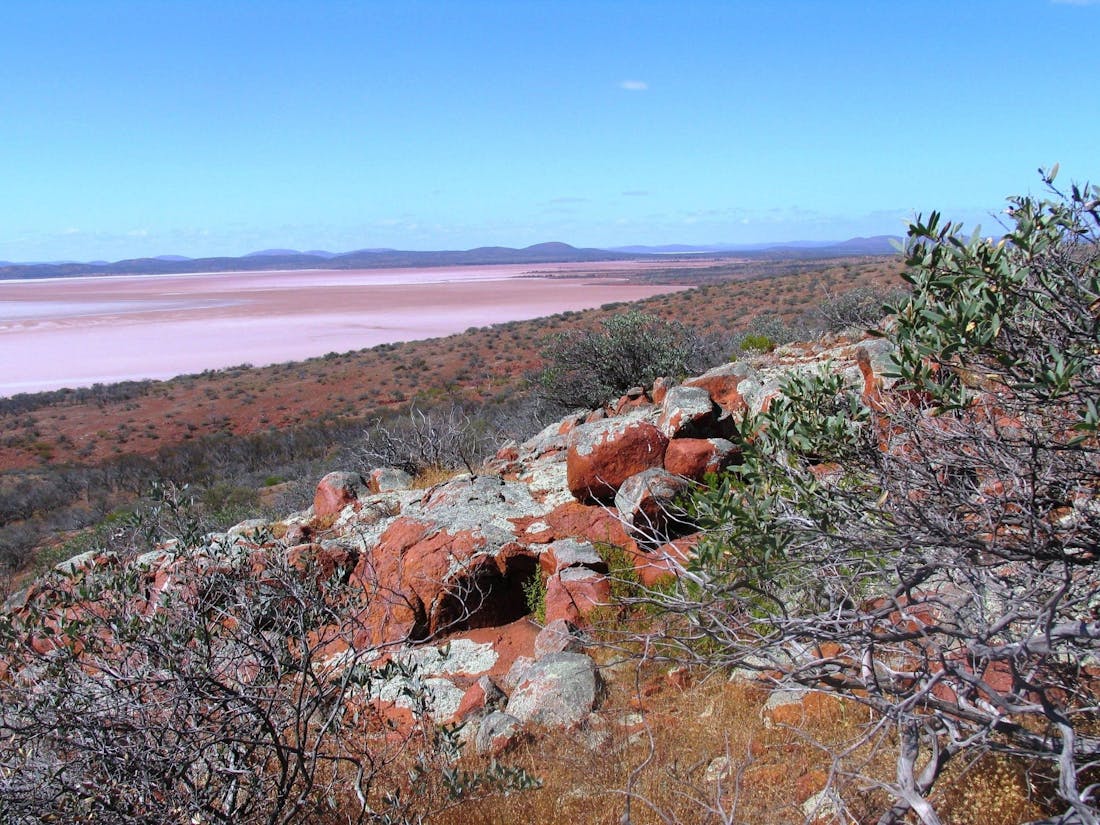 Lake Gairdner National Park - Lake Gairdner, Attraction | South A...