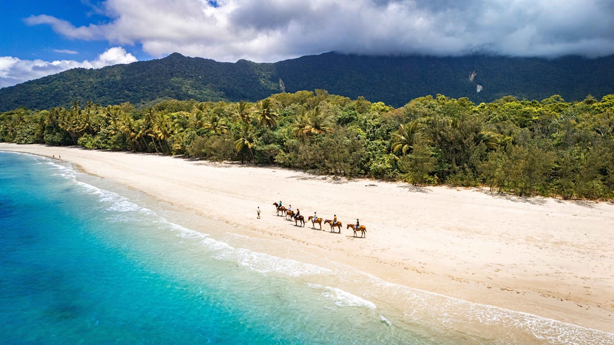 Daintree Rainforest | Destination-information | Queensland