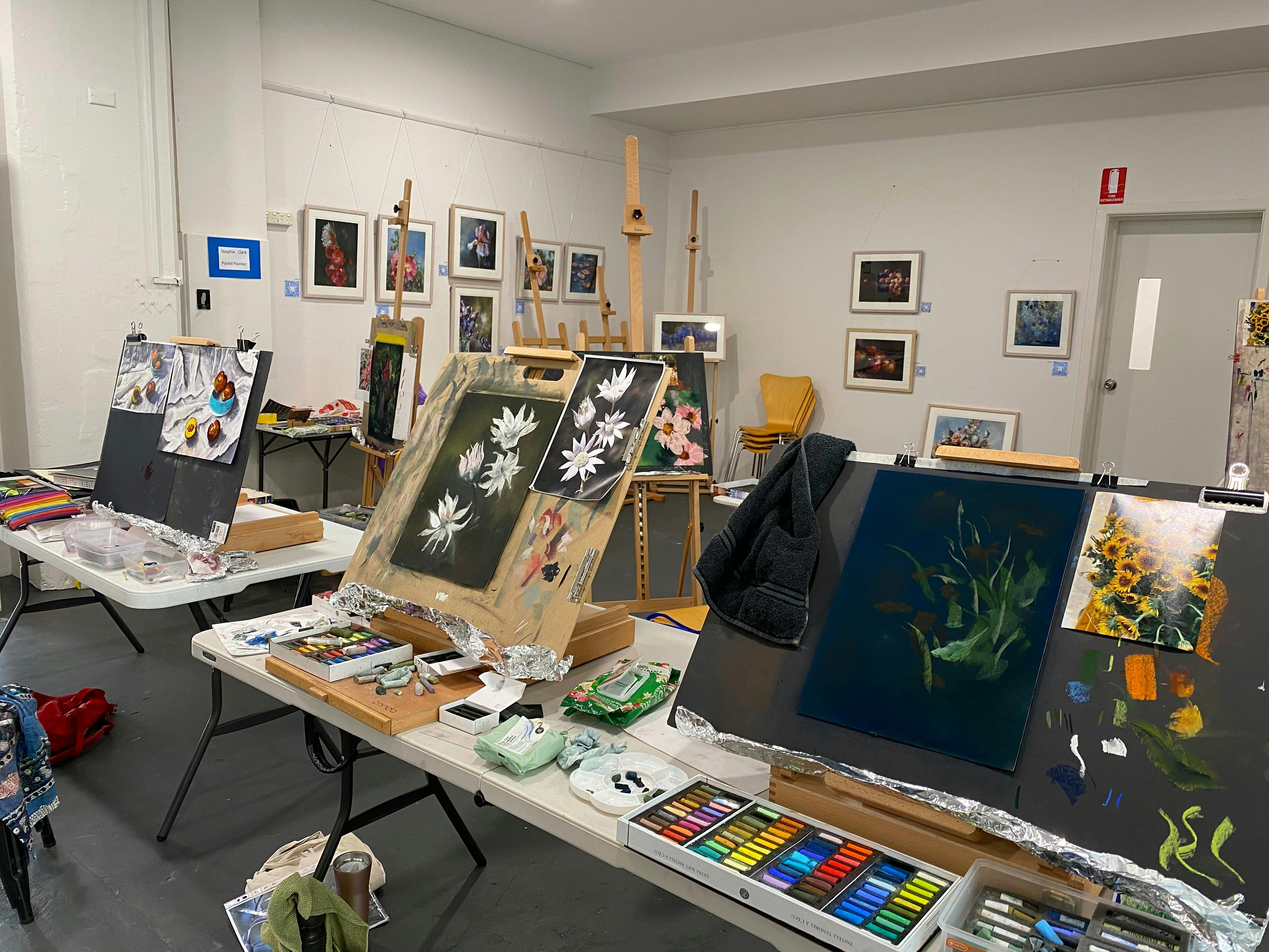 Stephie Clark Pastel Painter - Focus on Light - Visit Newcastle