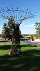 Berri - Berri, Destination Information | South Australia