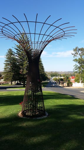 Berri - Berri, | South Australia