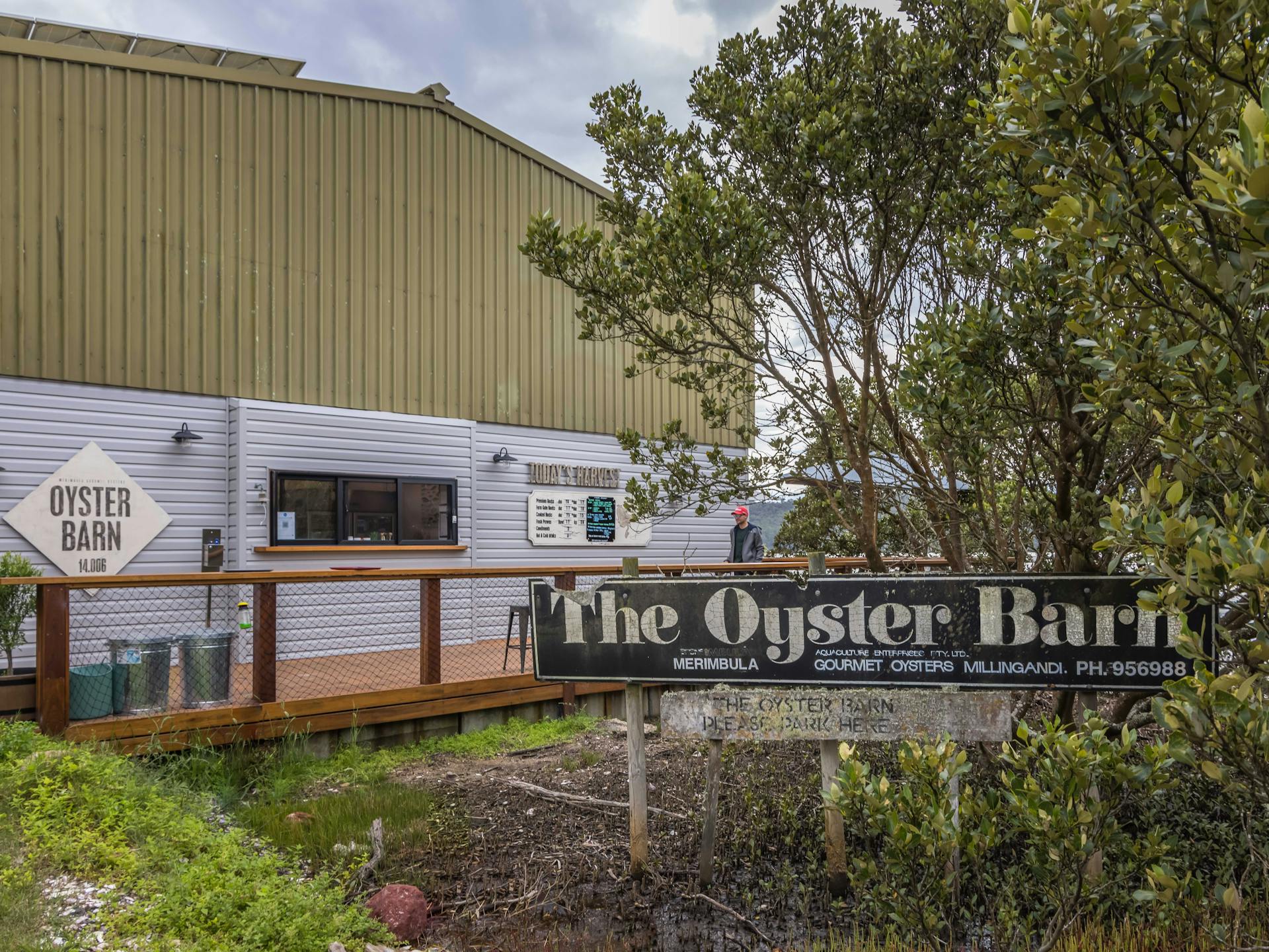 The Oyster Barn in Millingandi - The Fold: Your Guide to Everything ...