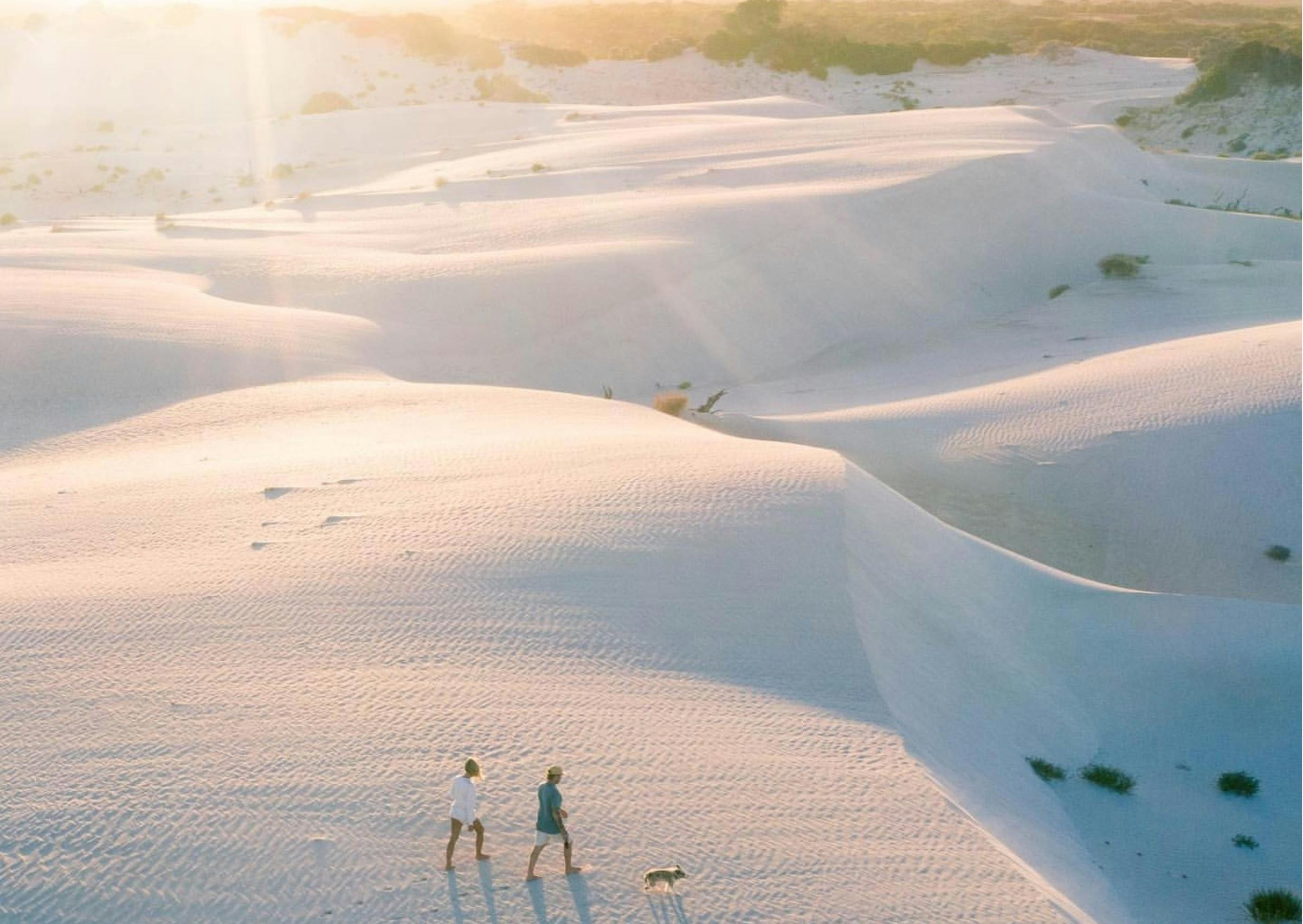 Yanerbie Sandhills - Yanerbie, Attraction | South Australia
