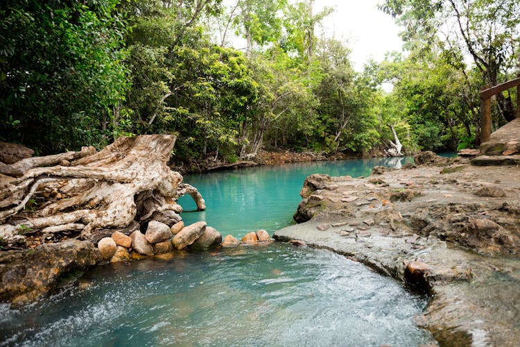 Cardwell Spa Pool | Cairns & Great Barrier Reef