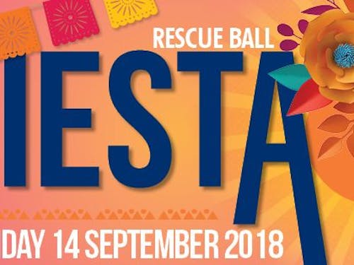 Bogey Hole | NSW Holidays & Accommodation, Things to Do, Attractions ...