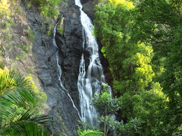 Booloumba Falls Walk Conondale National Park | Journeys | Queensland