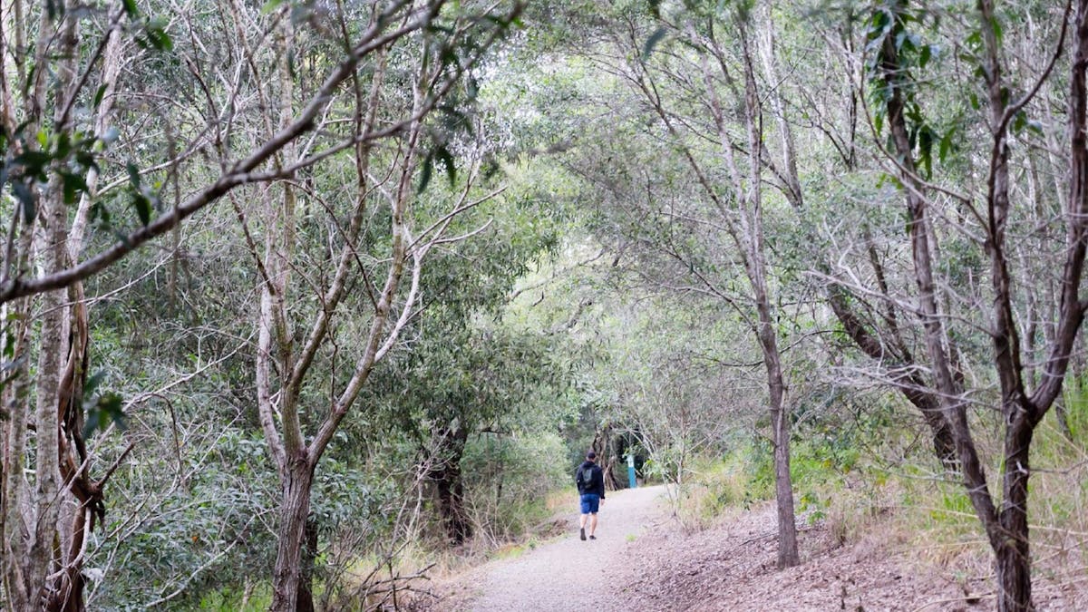 The Gap | Destination-information | Queensland