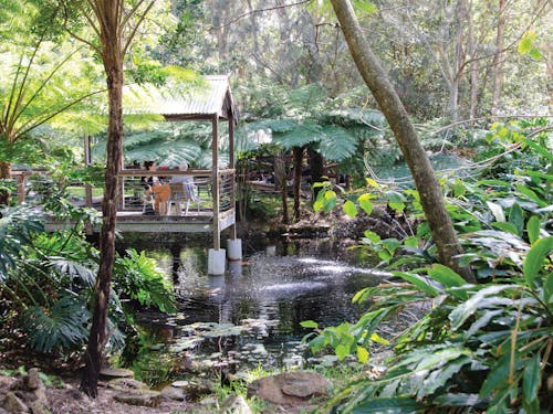 Crowdy Head Beaches | NSW Holidays & Accommodation, Things to Do ...