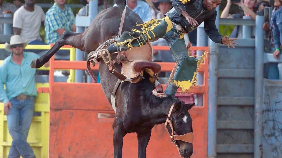 Mareeba Rodeo | Events | Queensland