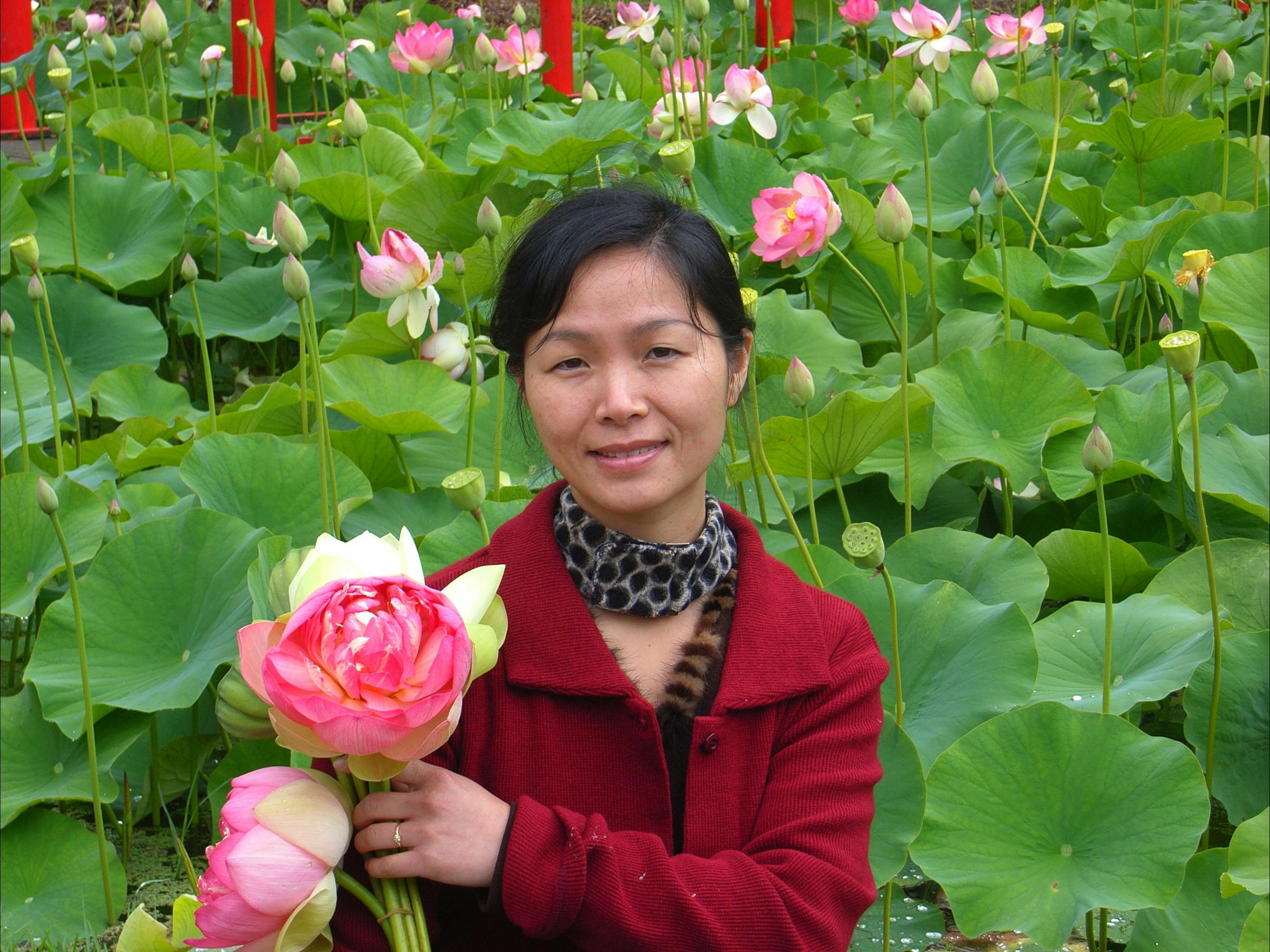 Lotus Flower Farm Melbourne | Best Flower Site