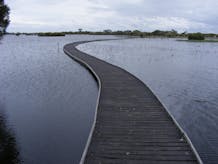 Bool Lagoon Campground - Bool Lagoon Game Reserve - Bool Lagoon,