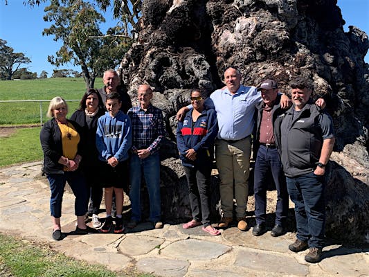 The Herbig Family Tree - Springton, Attraction | South Australia