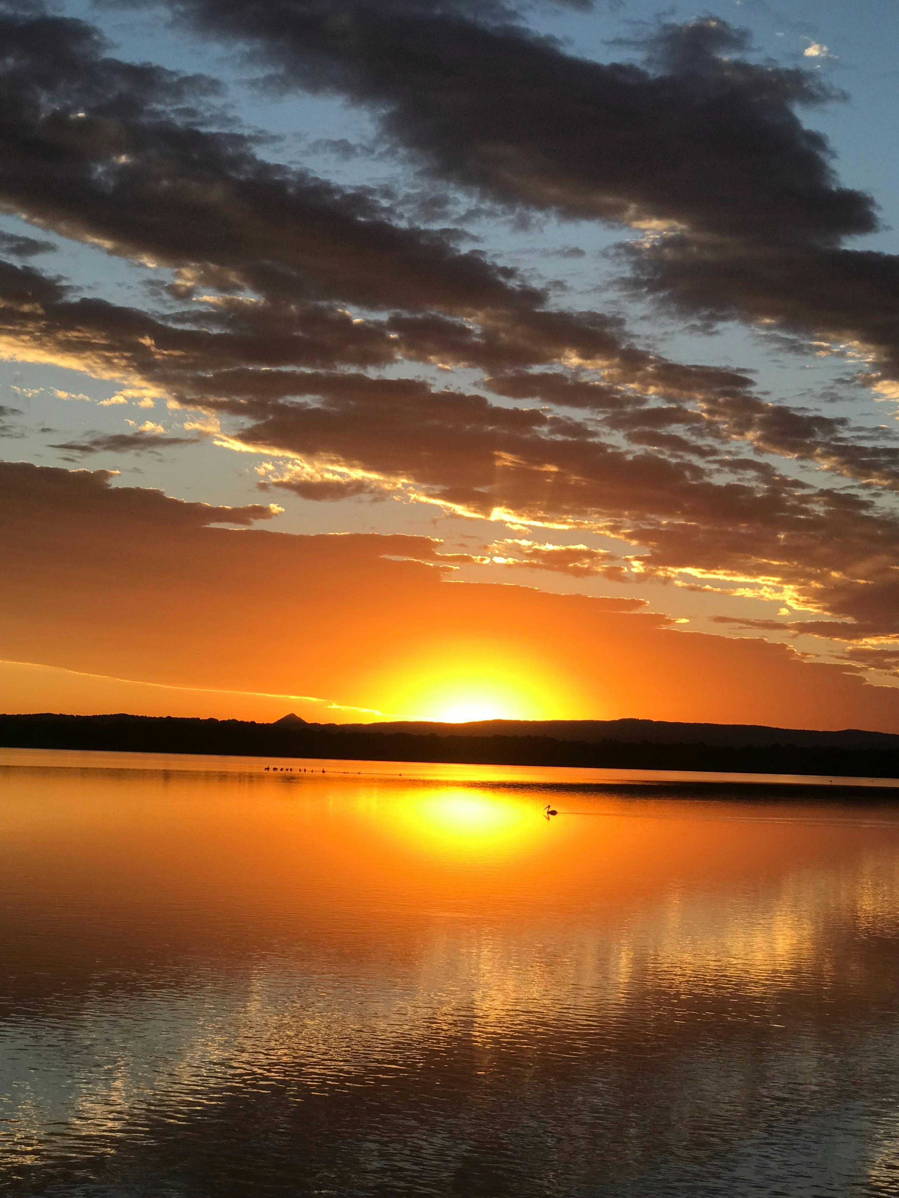 Mv Noosa Queen | Tours | Queensland
