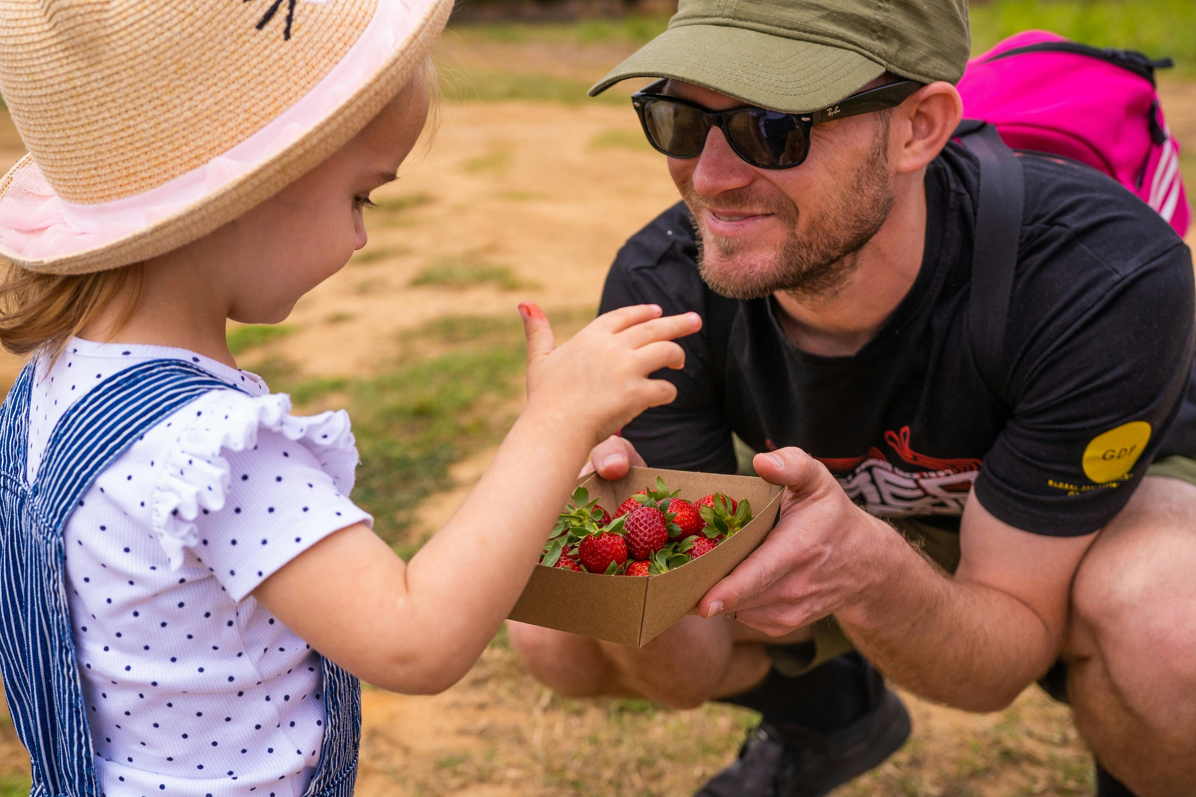 LuvaBerry Strawberry Farm