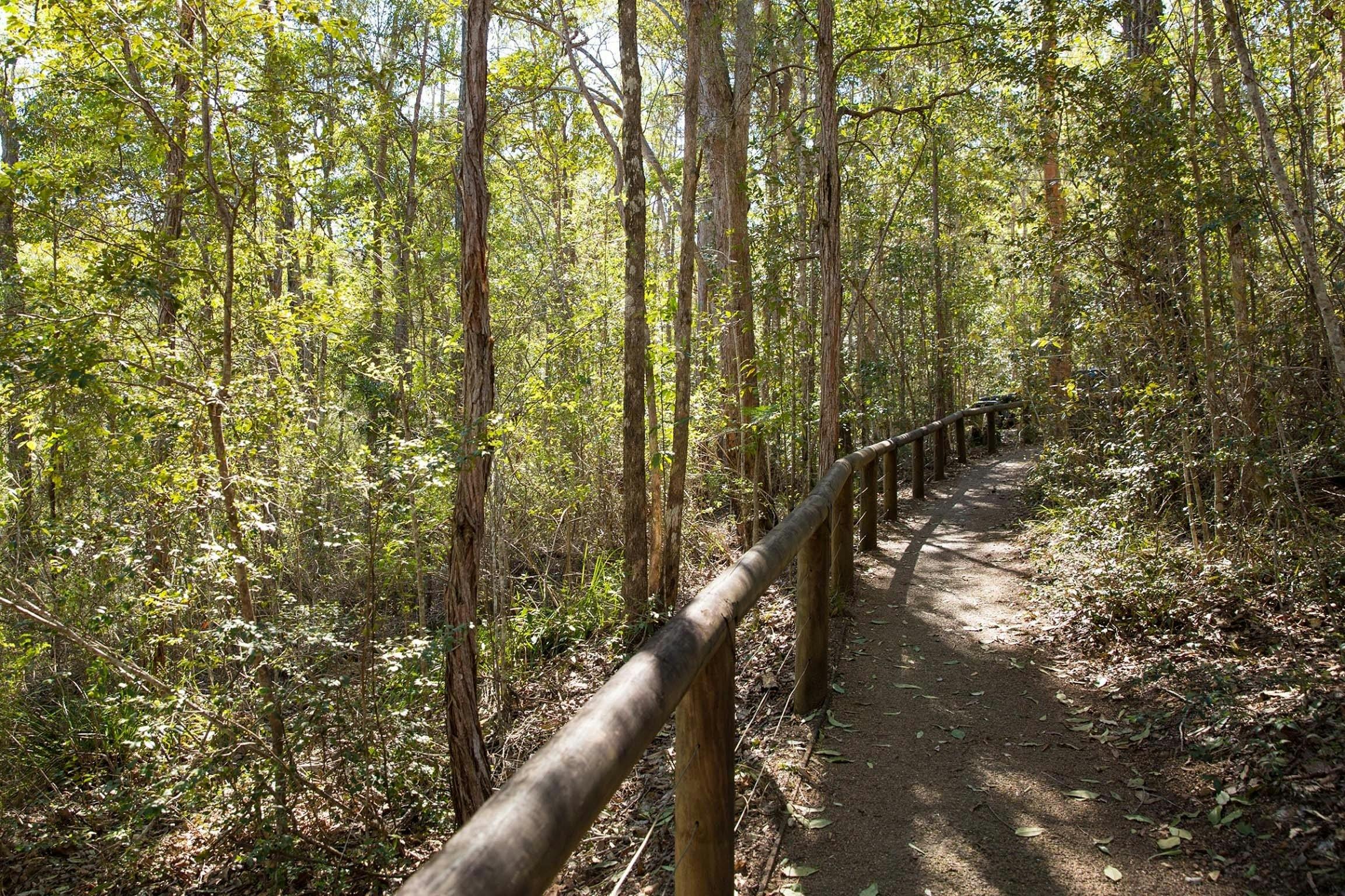 Mount Mee Forest Reserve