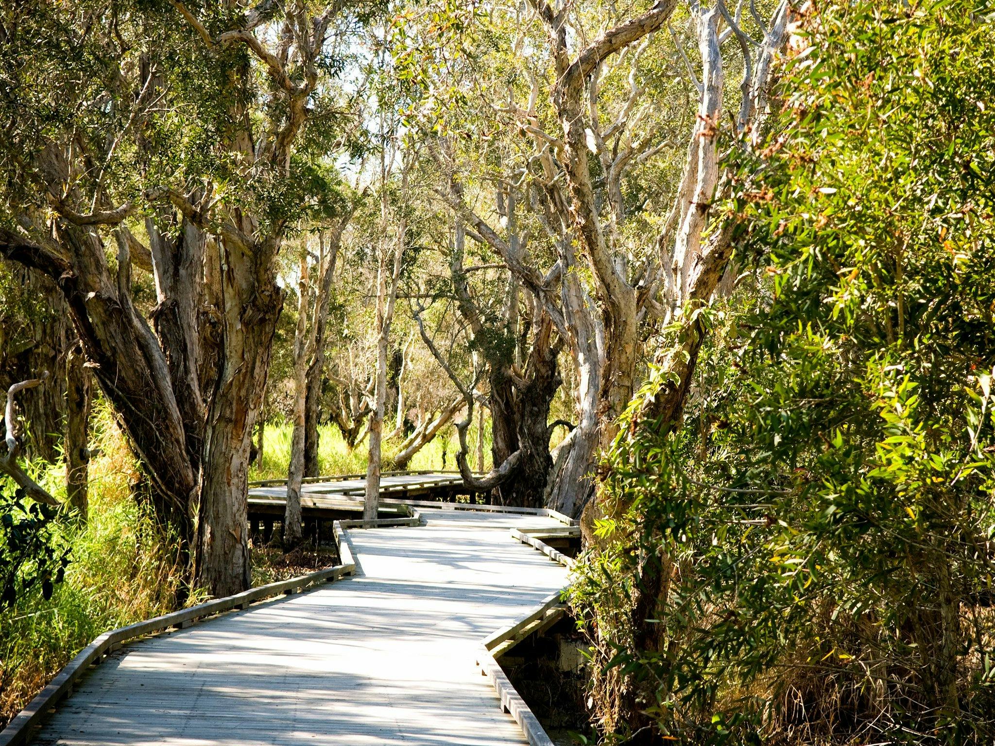 Eagleby Wetlands