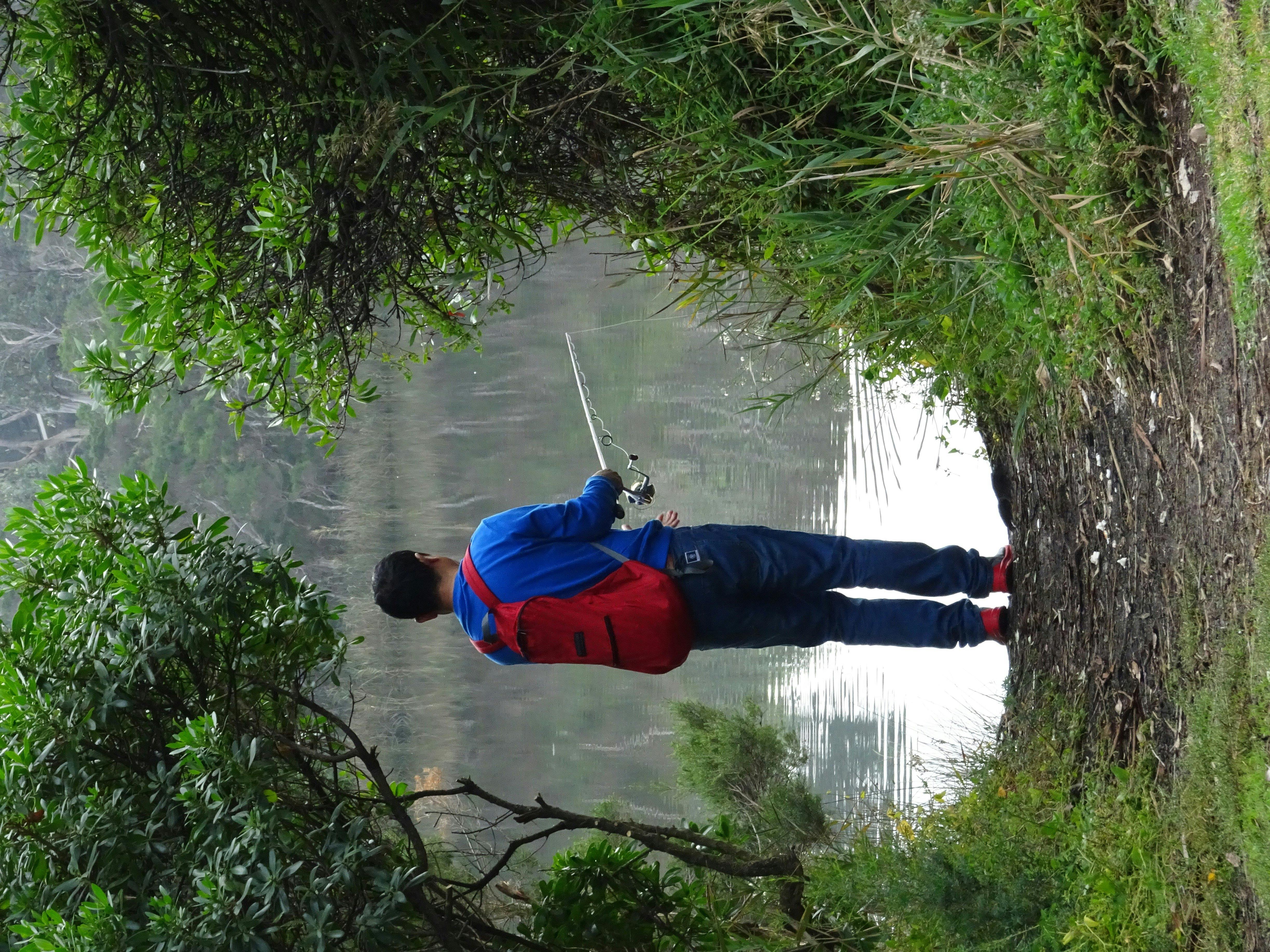 National Parks + Reserves — Visit Mornington Peninsula.