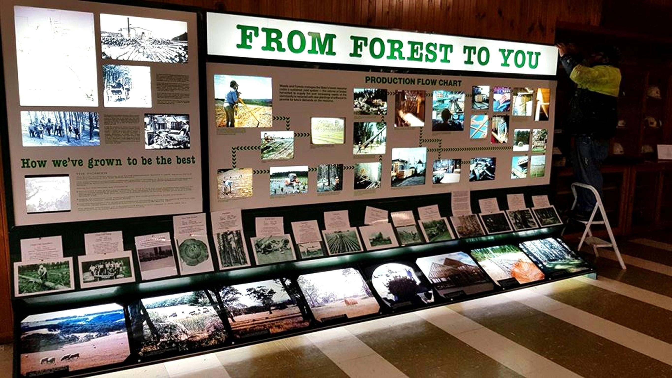 Nangwarry Forestry and Logging Museum - Family Parks