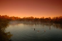 Dalhousie Springs Campground, Witjira National Park - Witjira, At...