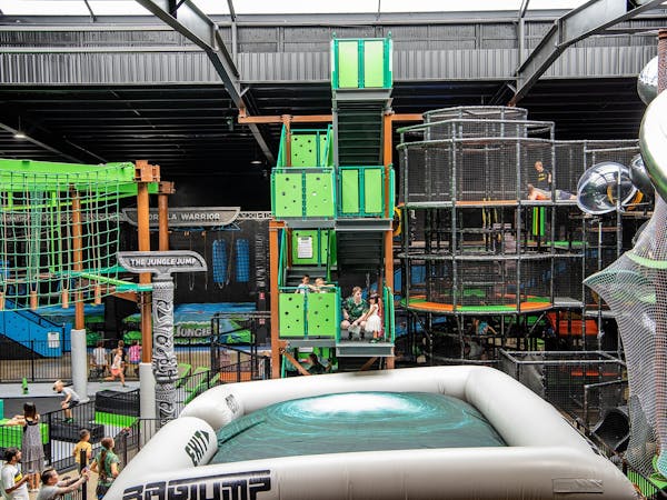 The Jungle Adventure Play/1000 | Attractions | Queensland