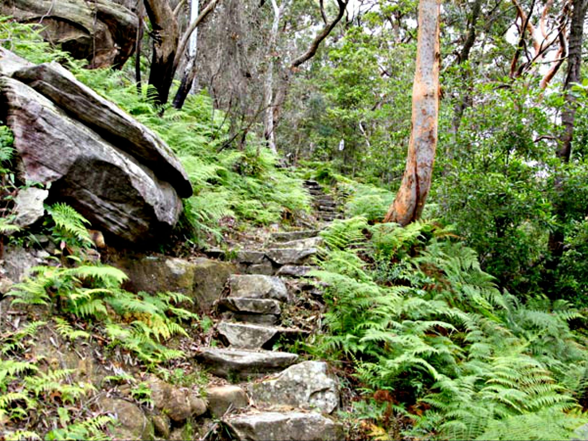 Natural Bridge Track to Davidson Park | Sydney, Australia - Official ...