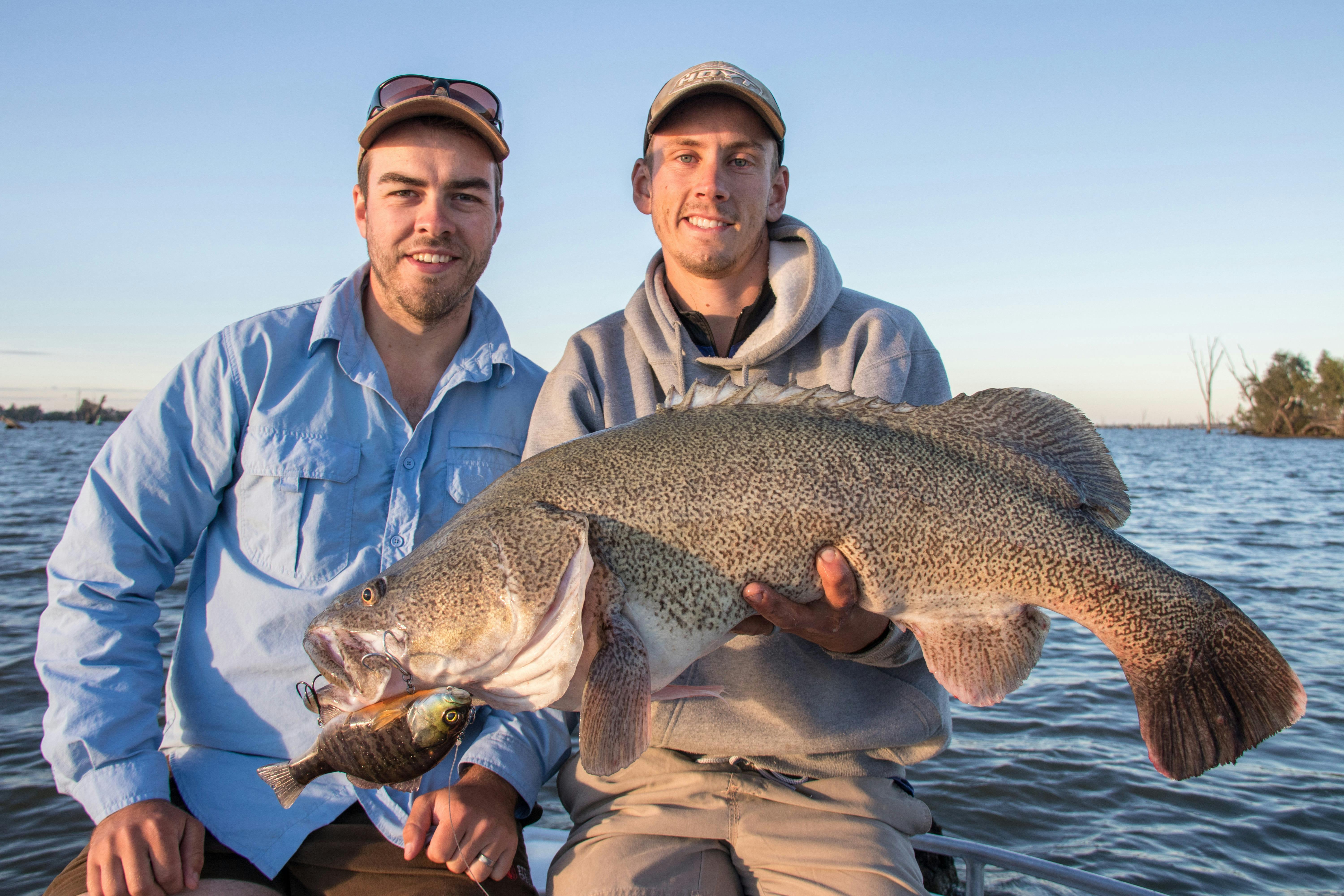 Yarrawonga Mulwala Activities | NSW Holidays & Accommodation, Things to ...