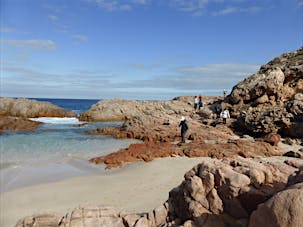 Hillocks Drive - Marion Bay, Attraction | South Australia