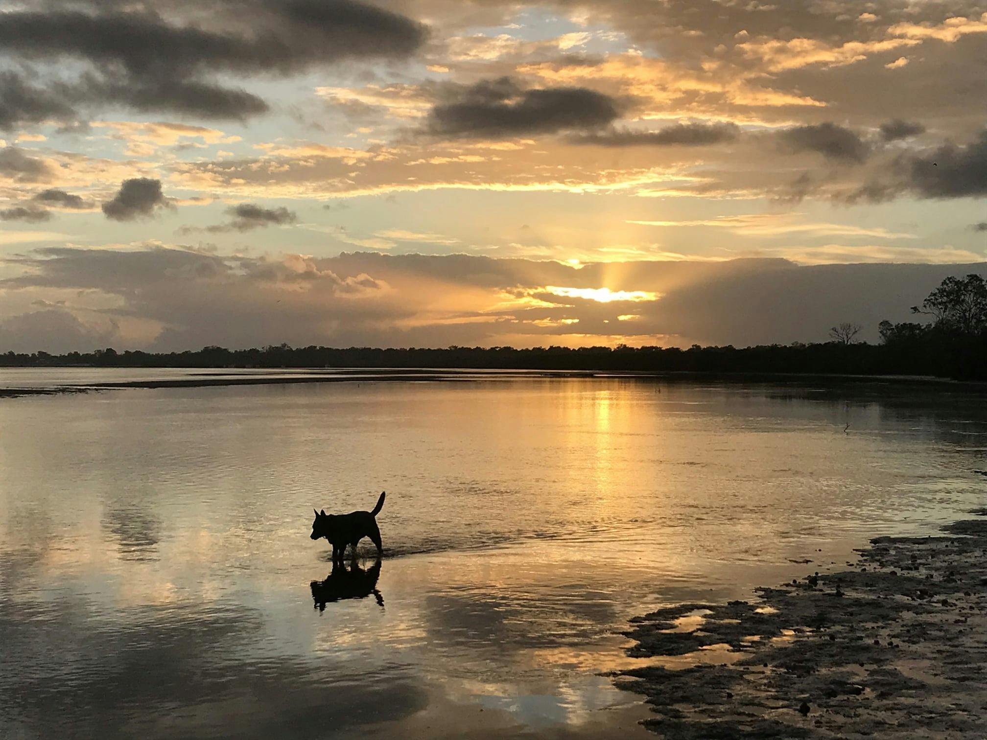 Riverside Burrum Heads | Visit Fraser Coast