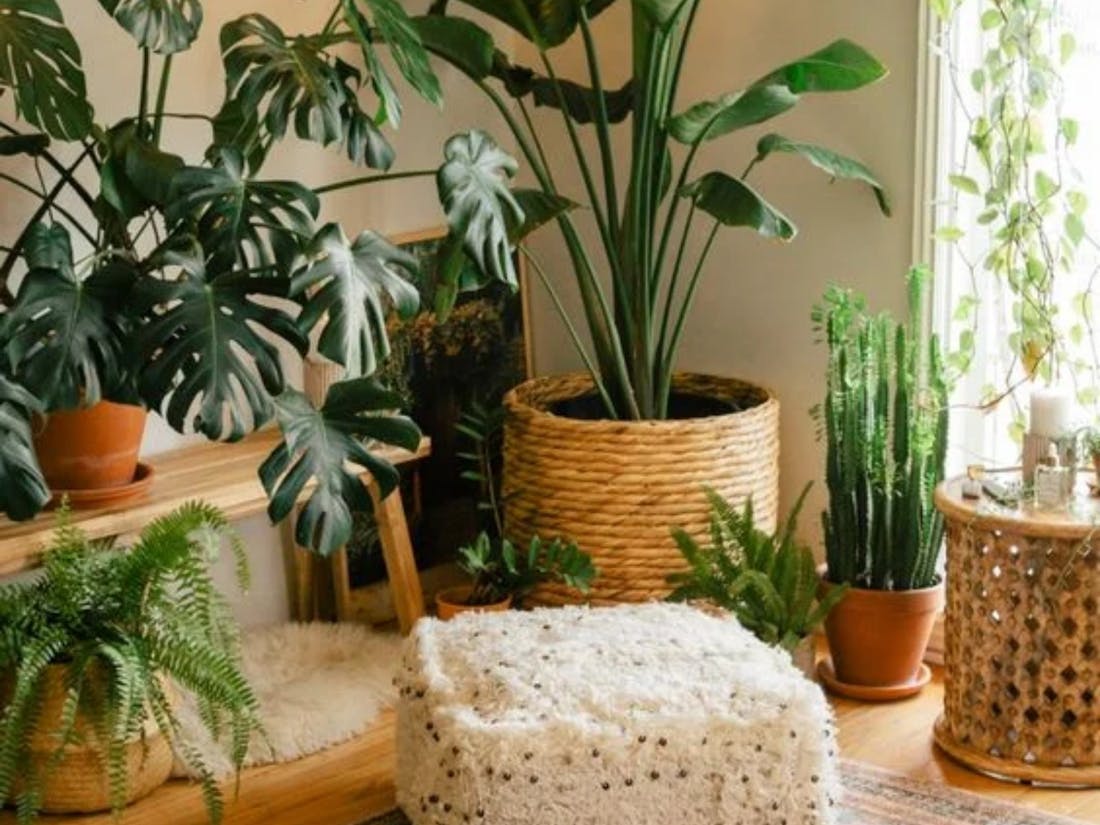 Rooted in Knowledge - Workshop No 2 at the Ricca Terra Wine Room ...