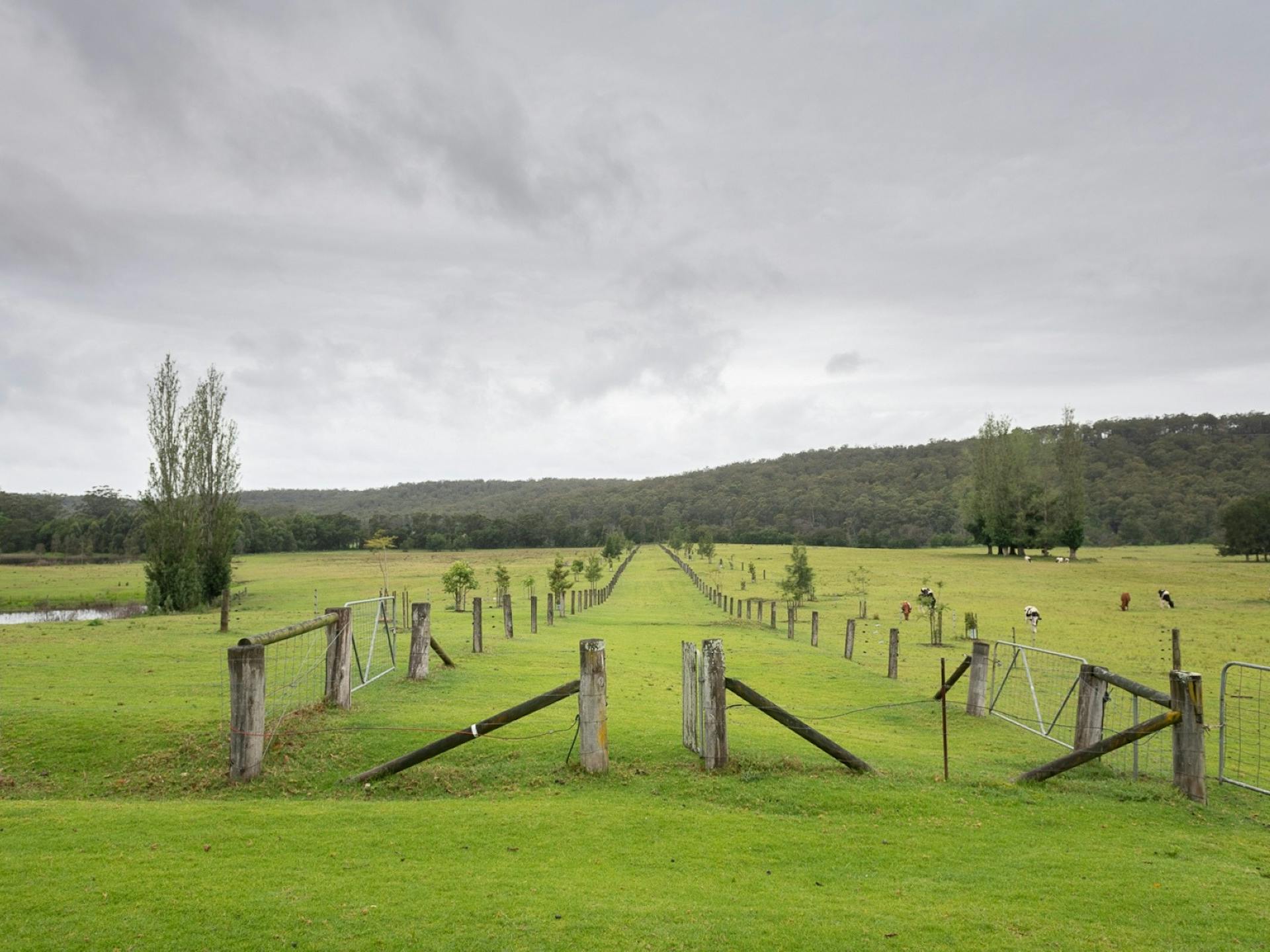 Bundanon Self-Guided Bushwalks in Illaroo - The Fold: Your Guide to ...