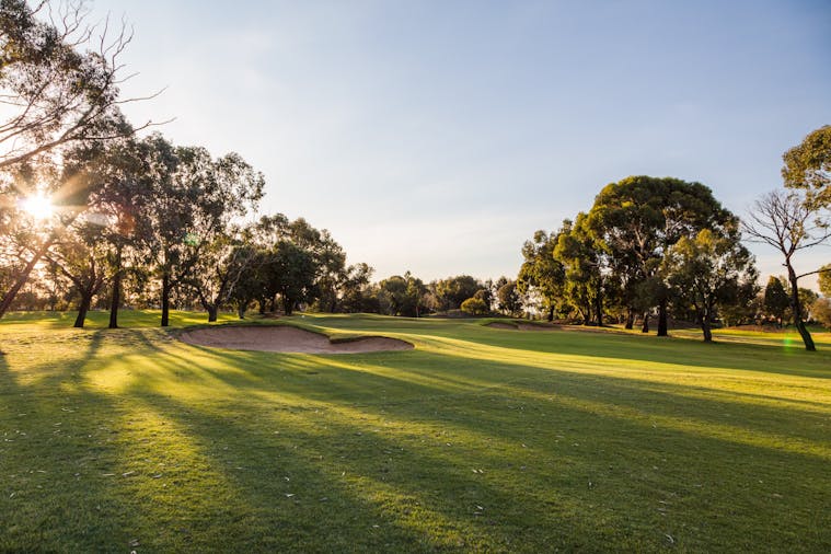 Regency Park Community Golf Course - Adelaide, Attraction | South...