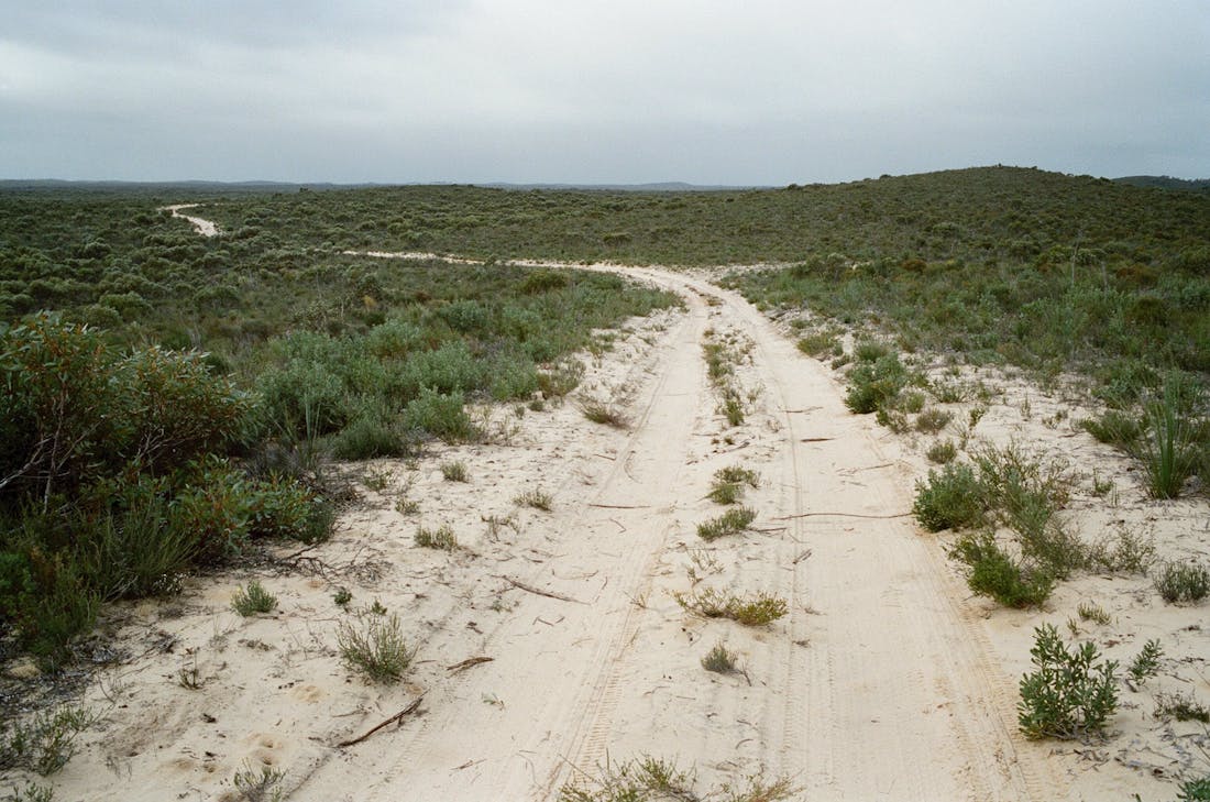 Ngarkat Conservation Park - Lameroo, Attraction | South Australia