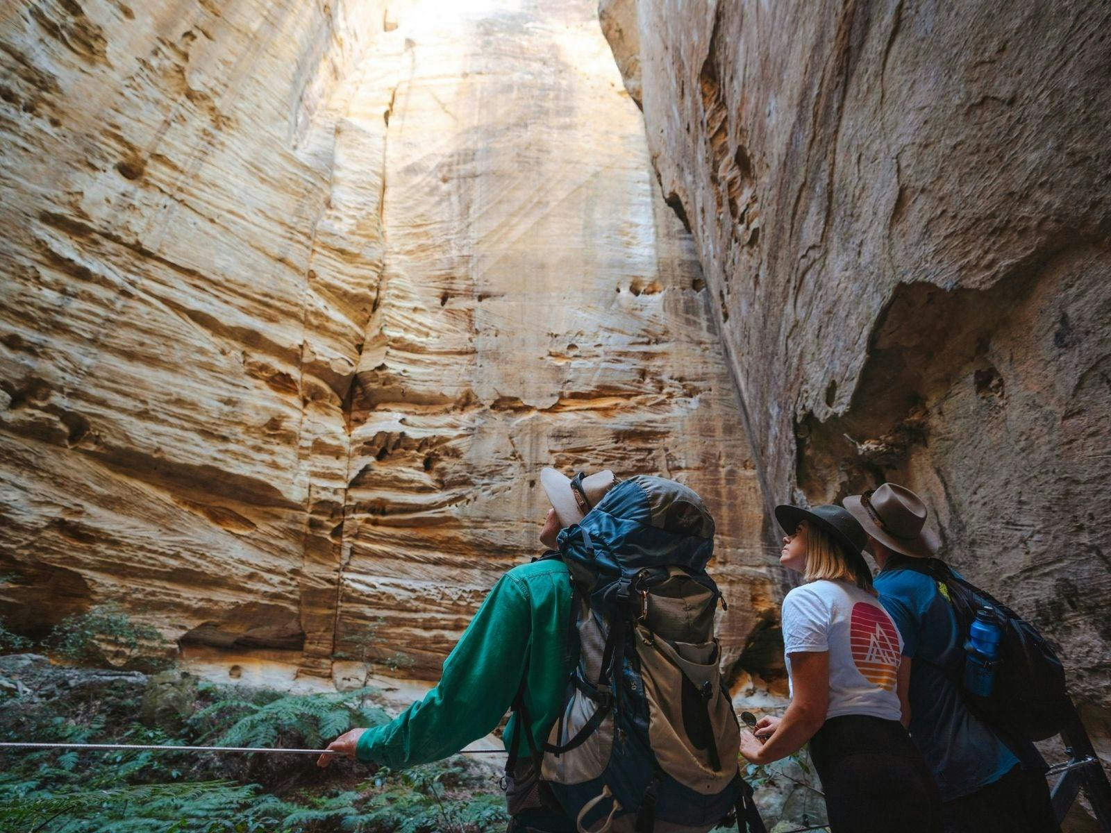 Boobook Explore | Tours | Queensland