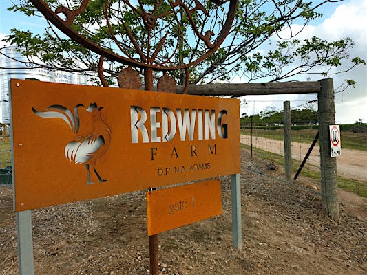 Redwing Farm - Weetulta, Accommodation | South Australia