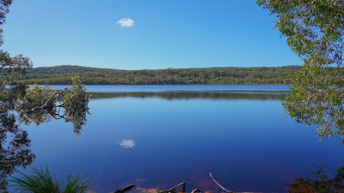 Brown Lake | Attractions | Queensland