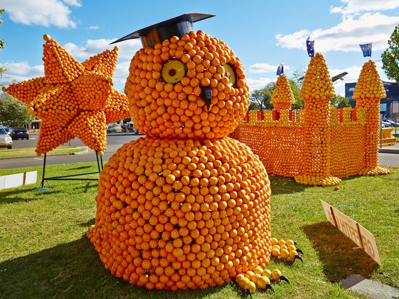 Griffith Spring Fest - Citrus Sculptures | NSW Holidays & Accommodation ...