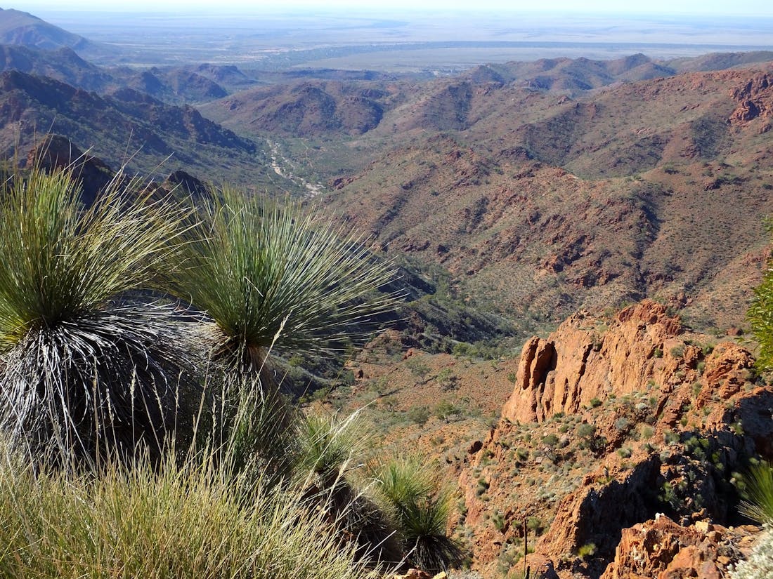 4 Day Tour - Discover Arkaroola Sanctuary, Tour Service | South ...