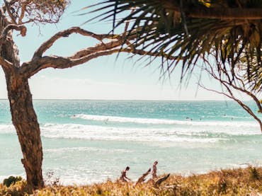 Palmwoods | Destination-information | Queensland