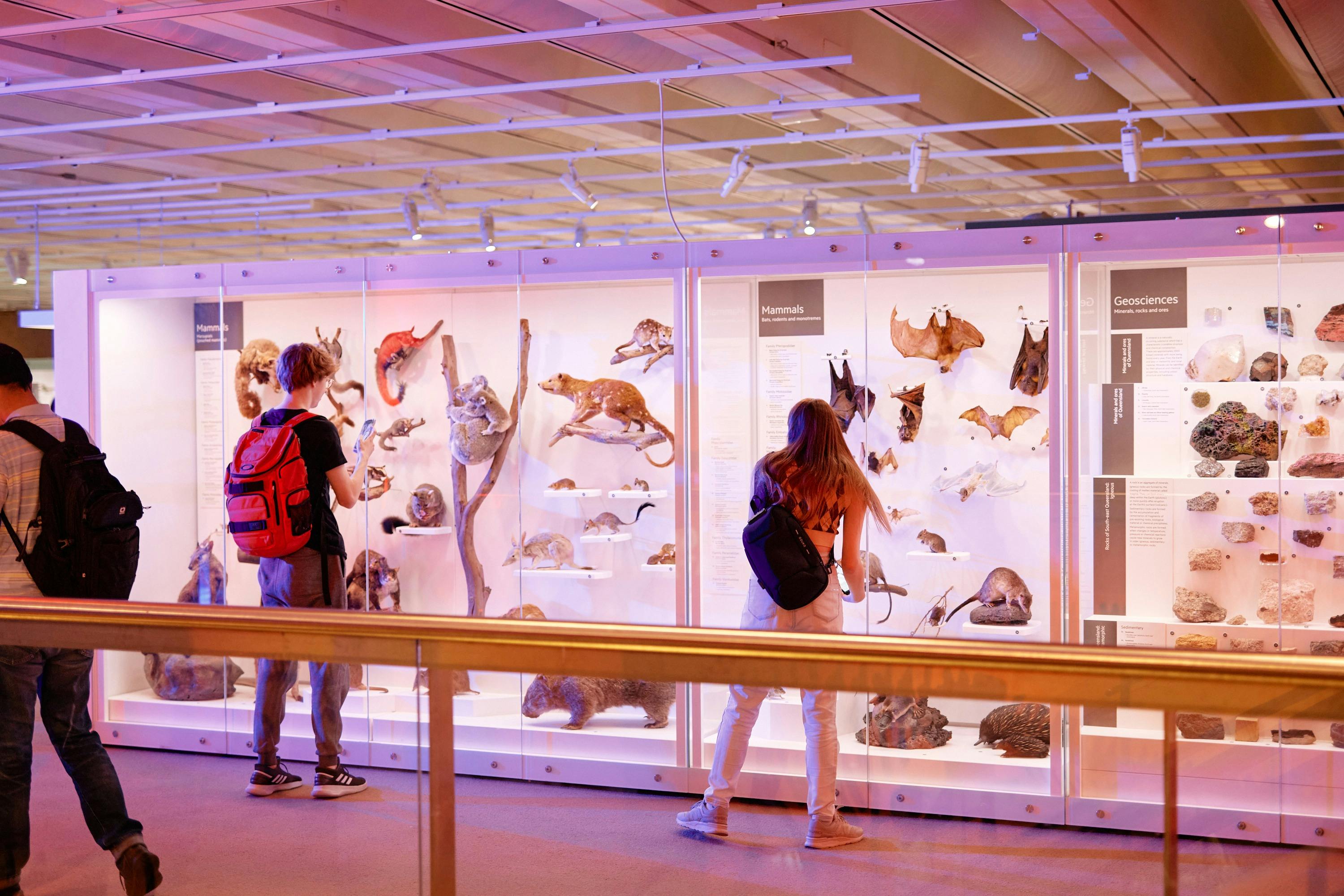 Queensland Museum Kurilpa