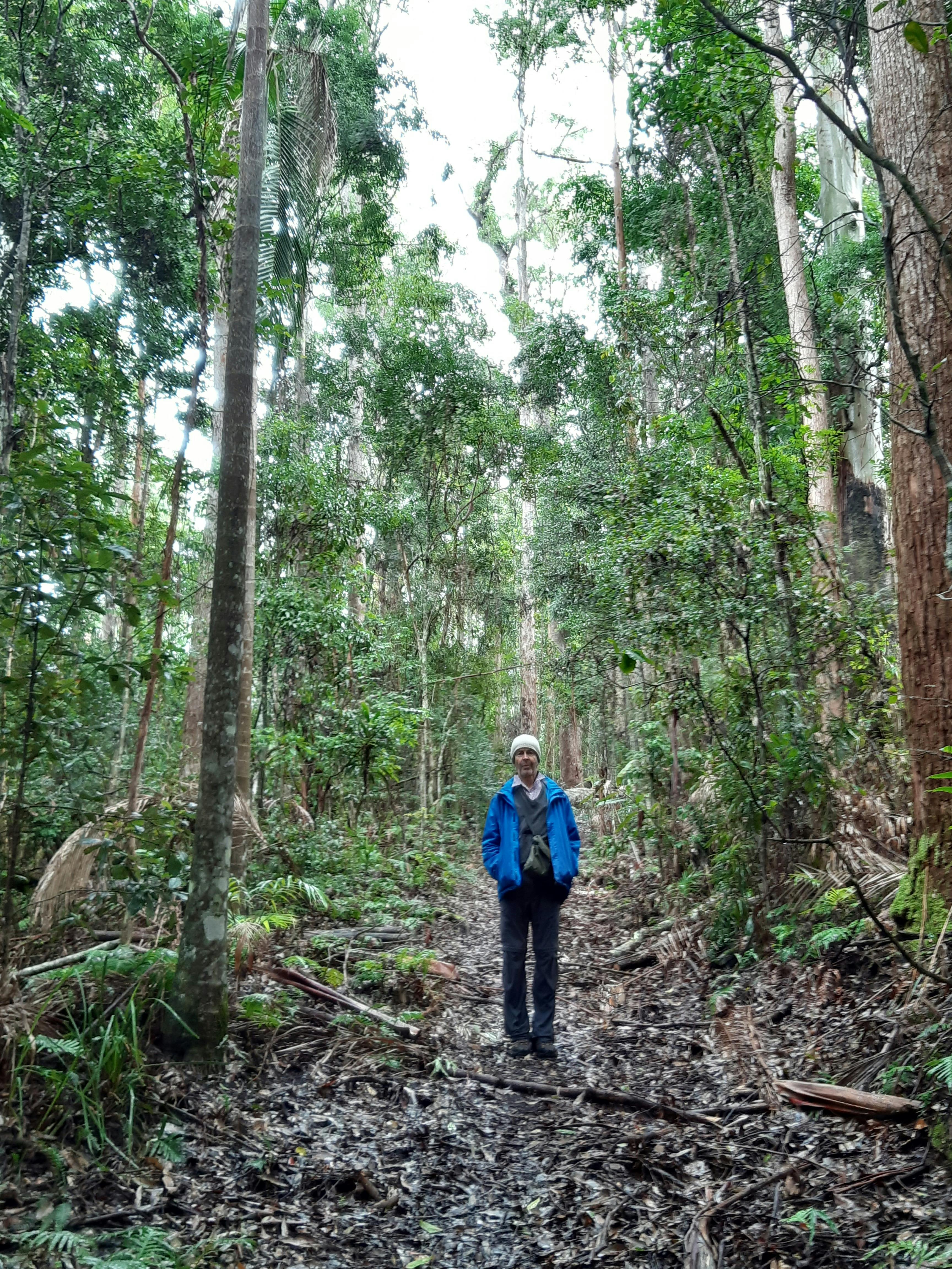 Bushwalking Tour - Full Day Walk | NSW Holidays & Accommodation, Things ...