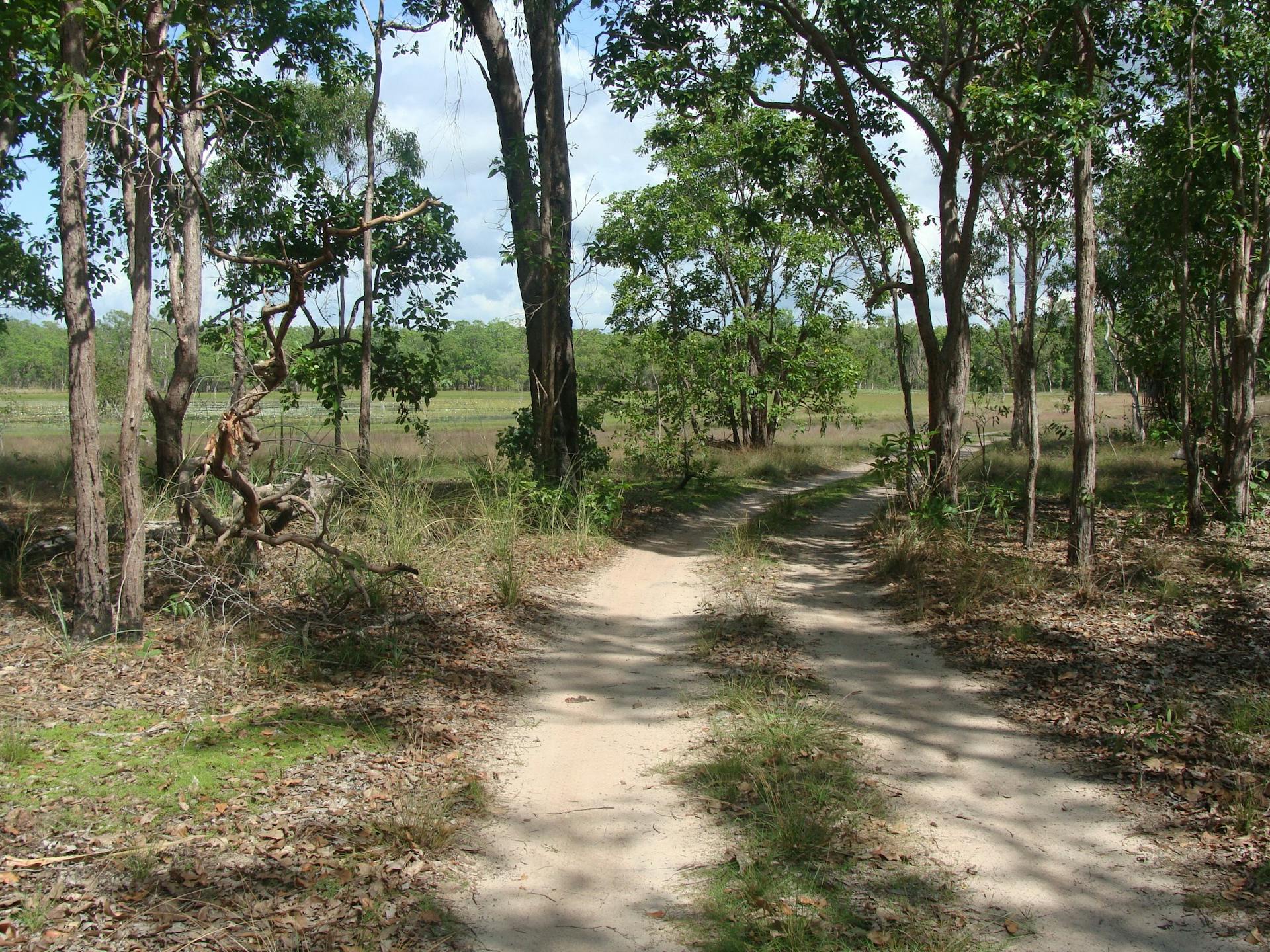 Djukbinj National Park in Humpty Doo - The Fold: Your Guide to ...