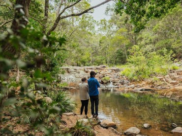 Booloumba Falls Walk Conondale National Park | Journeys | Queensland